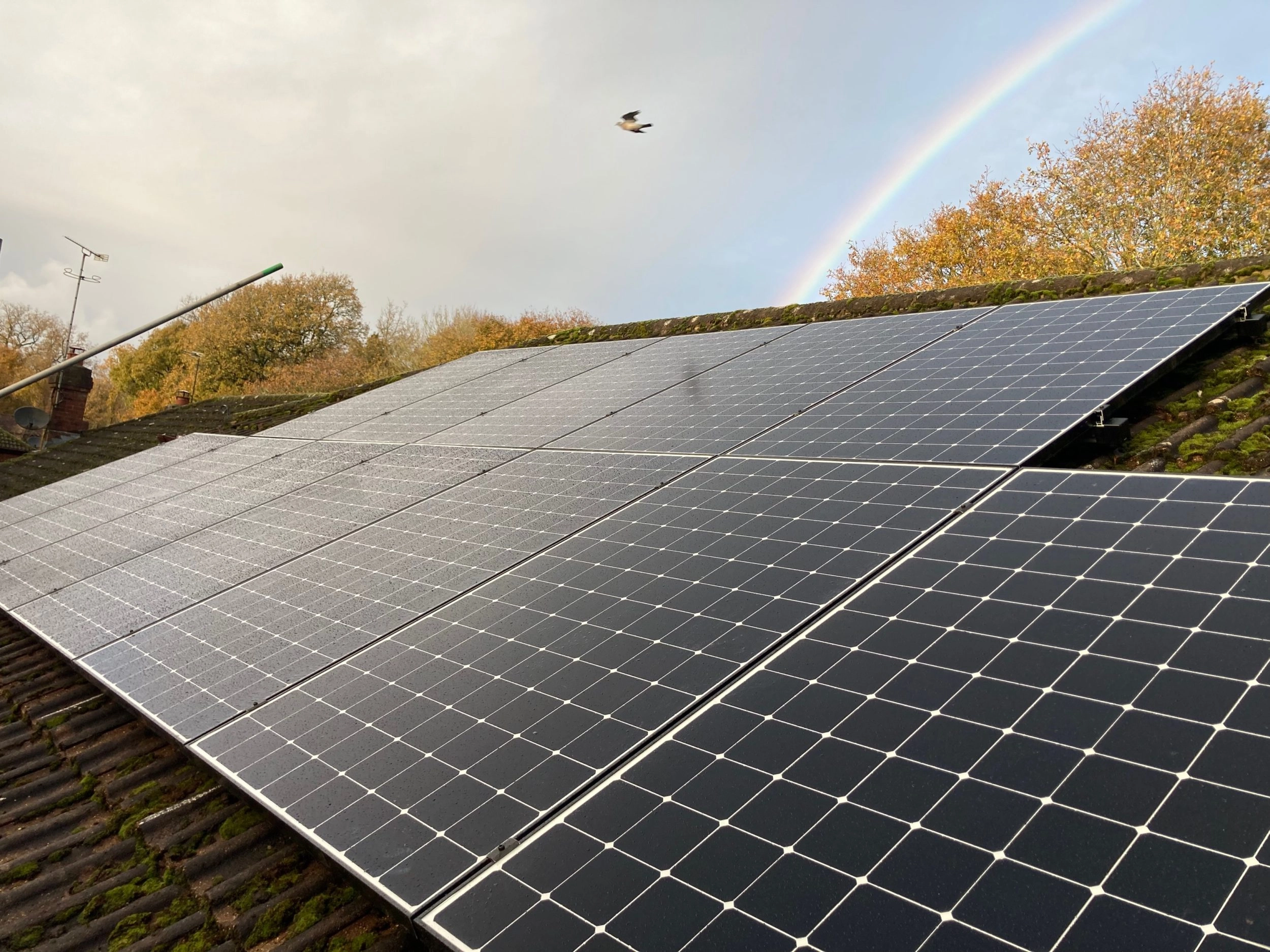 Solar PV Panel Installation Brighton & Hove, East Sussex - TLGEC ...